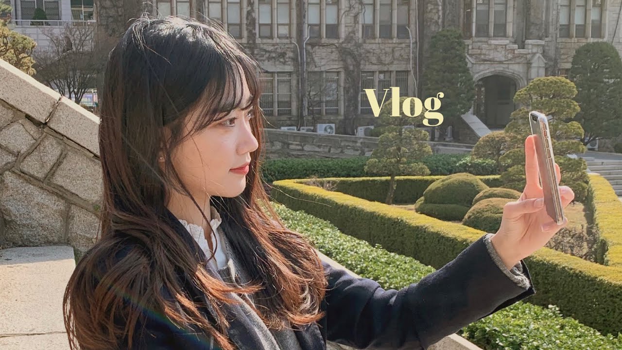 Sub Vlog 대학생 브이로그 I 연희동 나들이 I 과 동기와 술마시기 I 자취 요리 브이로그 I 연세대 브이로그 Youtube