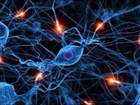 Self Mastery Through Self Hypnosis By Pradeep Aggarwal