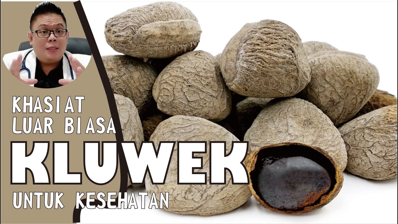 MANFAAT KLUWEK UNTUK KESEHATAN YANG HARUS KAMU KETAHUI - YouTube