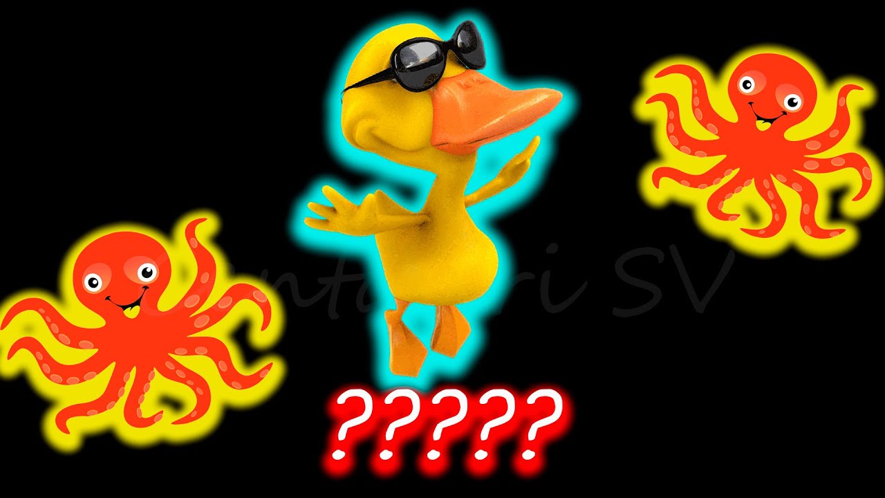 Duck Dancing Show Sound Variations in 76 Seconds - YouTube