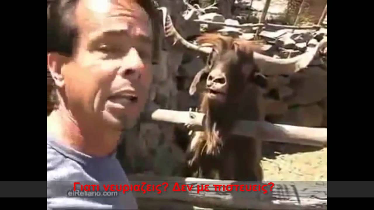 Ο τραγος και ο συριζαιος - YouTube