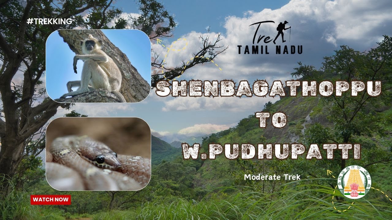 Shenbagathoppu to W.Pudhupatti Trekking | Virudhunagar #trektamilnadu ...