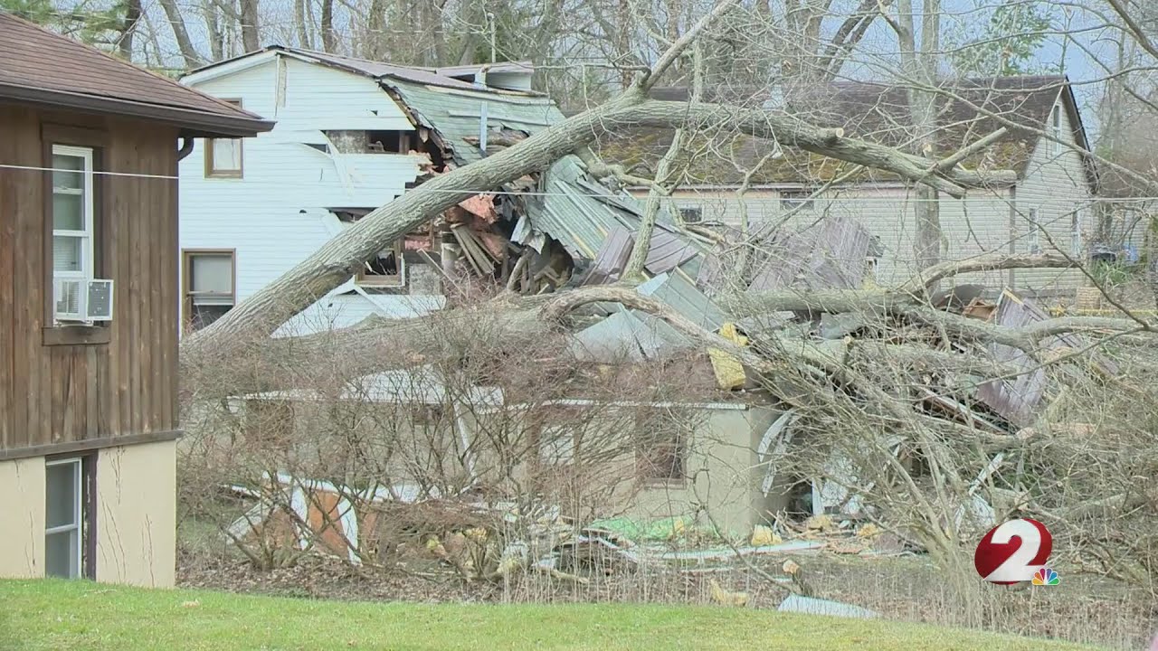 Heavy rainfall leads to weaker trees, prone to falling - YouTube