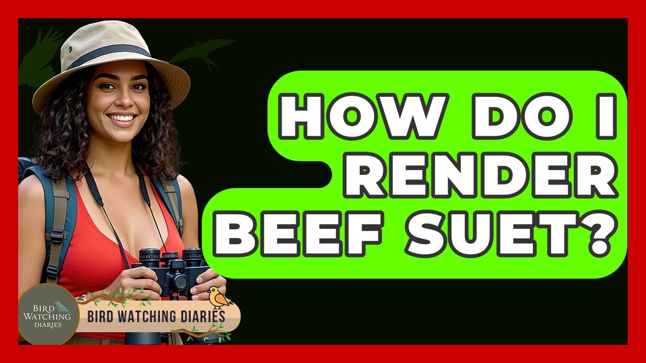 How Do I Render Beef Suet? - Bird Watching Diaries - YouTube