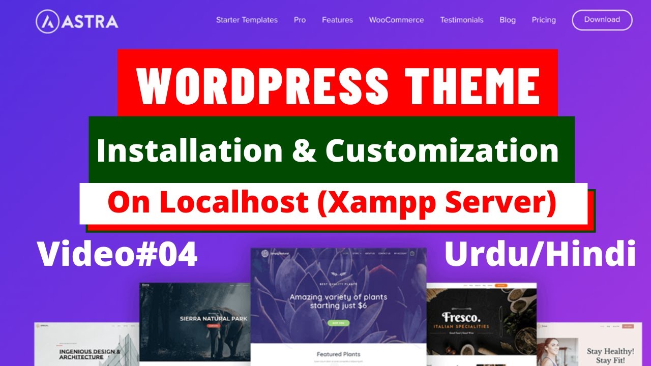 How To Install And Customization Wordpress Theme On Localhost Xampp Astra Theme Installation