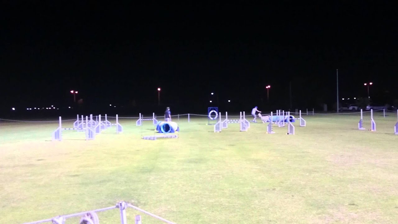 Dexter Masters Jumping December 2015 - YouTube