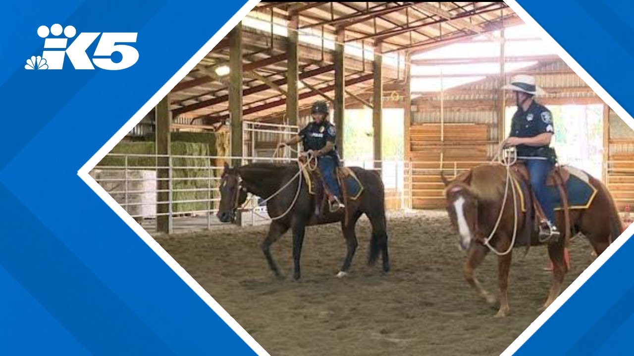 Seattle police to disband Mounted Patrol Unit amid staffing shortage ...