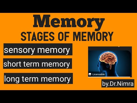 3 stages of memory, sensory,short ,term long term..in psychology series ...