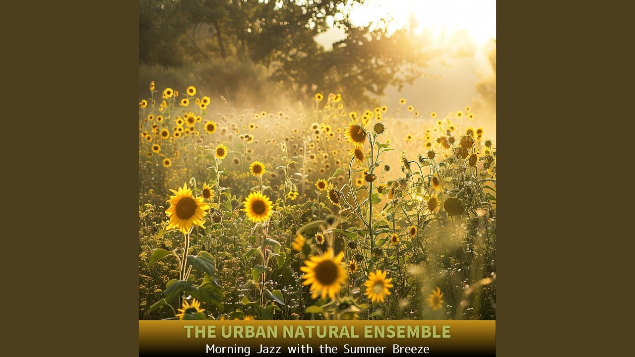 Amber Sunrise Gleam - YouTube