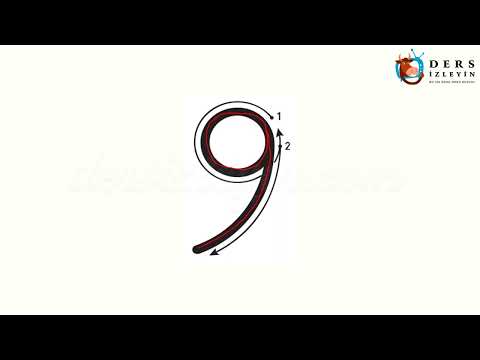 9 RAKAMINI ÖĞRENELİM