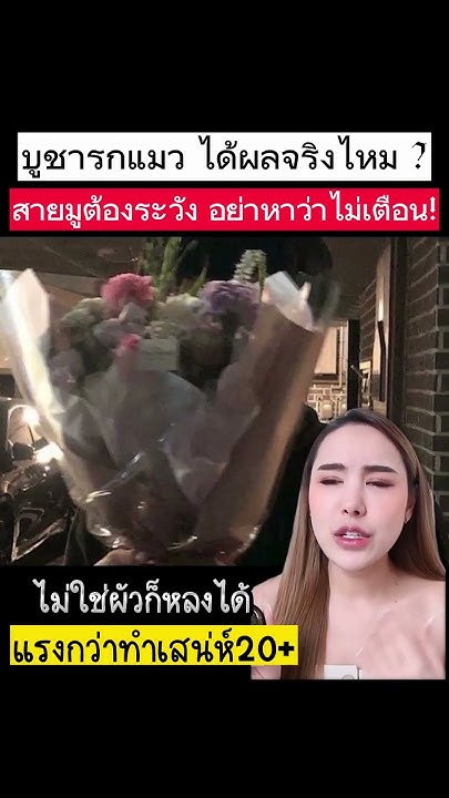 วิธีบูชา รกแมว https://taladprasiam2.com/%E0%B8%A3%E0%B8%81%E0%B9%81%E0 ...