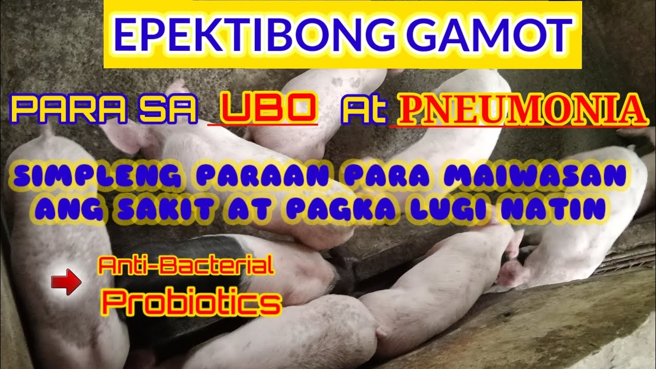 gamot at pag iwas sa ubo or pneumonia - YouTube