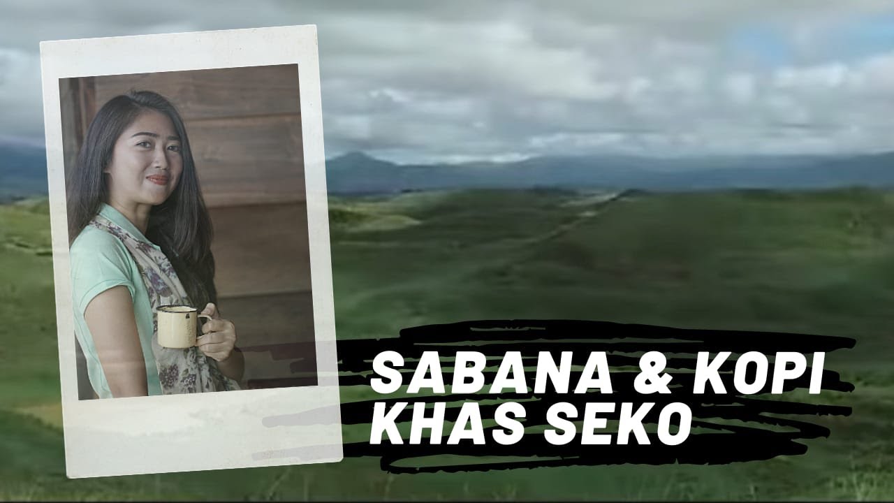 Kopi khas Seko dan Savana yang tersembunyi di Luwu Utara - YouTube