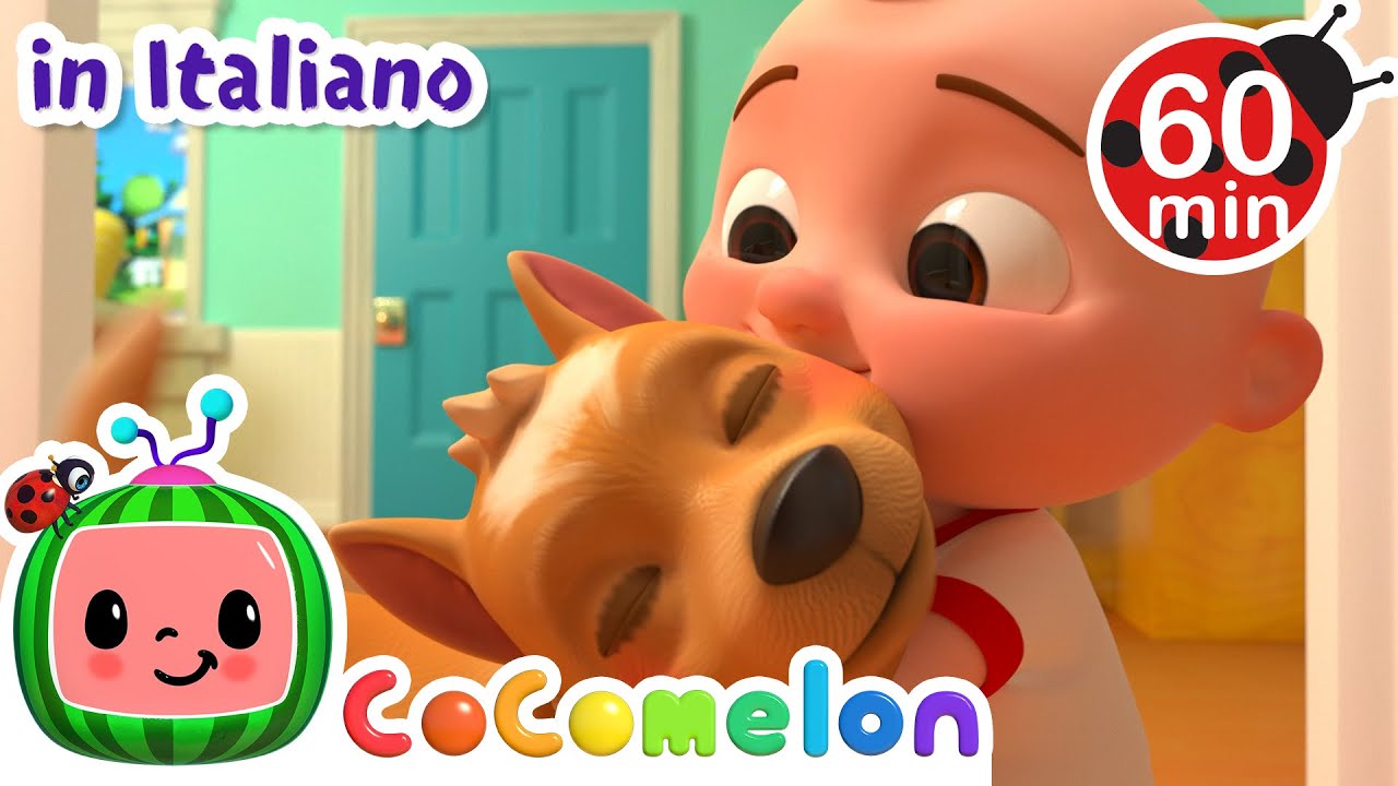 Arriva Bingo | CoComelon Italiano - Canzoni per Bambini - YouTube