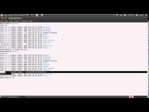 Shell Scripting Tutorial 10 Change File Permissions Using 'chmod'‬ YouTube - YouTube