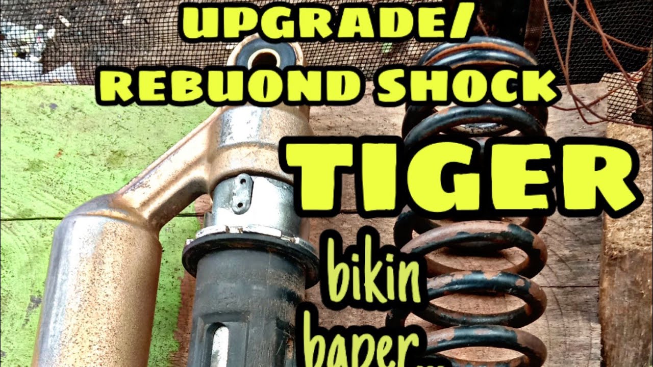 Upgrade / rebound shock tiger revo - YouTube