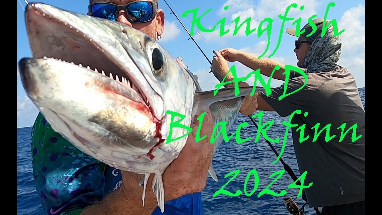 King Mackerel season Blackfin tuna, Red snapper!!! - YouTube