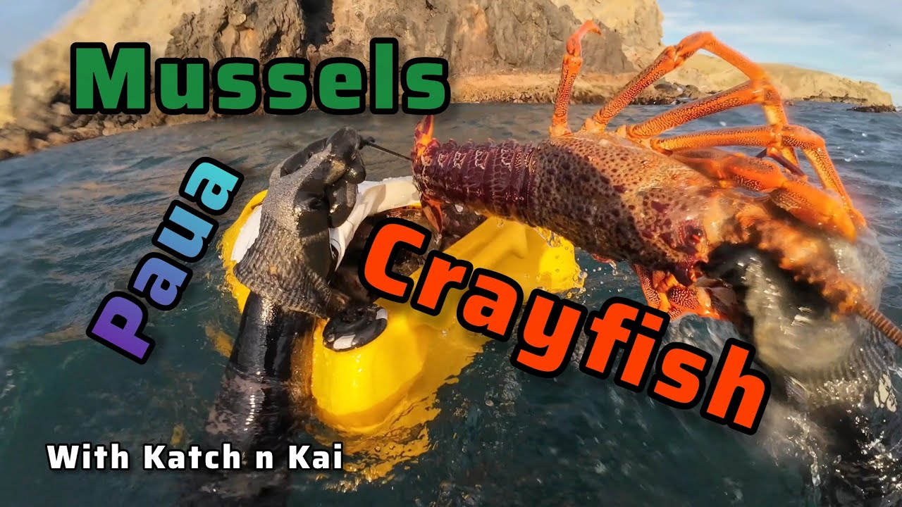 Diving NZ’s South Island for Crayfish, Pāua, Mussels & Butterfish ...