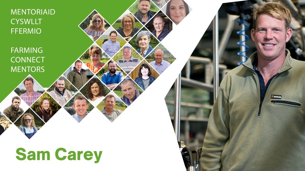Sam Carey🐄 Mentor tir glas a ffermio adfywiol / Regenerative Farming ...