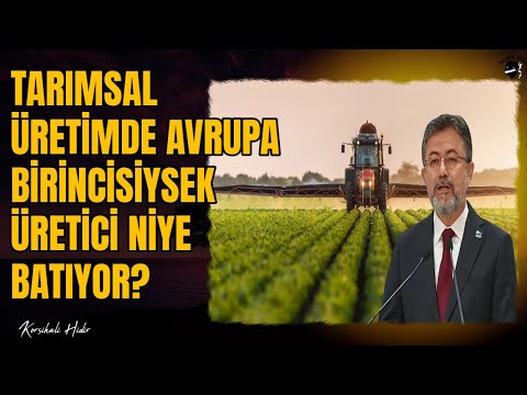 TARIMSAL ÜRETİMDE AVRUPA BİRİNCİSİYSEK ÜRETİCİ NİYE BATIYOR?