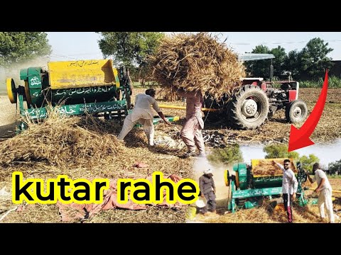 aaj gandham kutrai kar rahe | vlog Rashid Pendu | Kanak kutar Rahe - YouTube