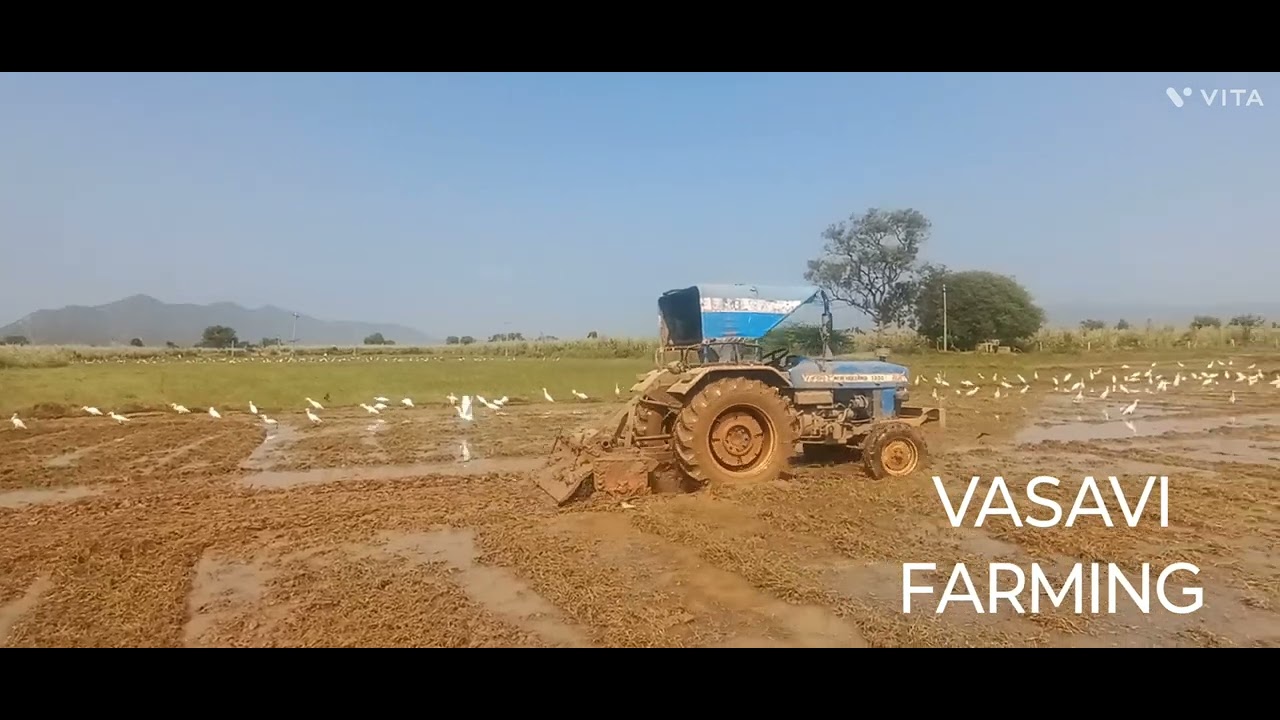 #vasavi #farming - YouTube