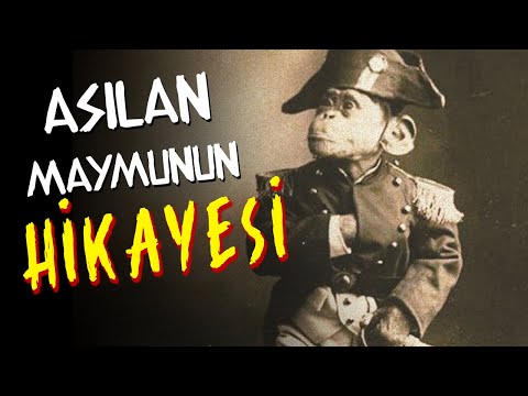 Fransız Ajanı Sanılarak Asılan Şempanze!