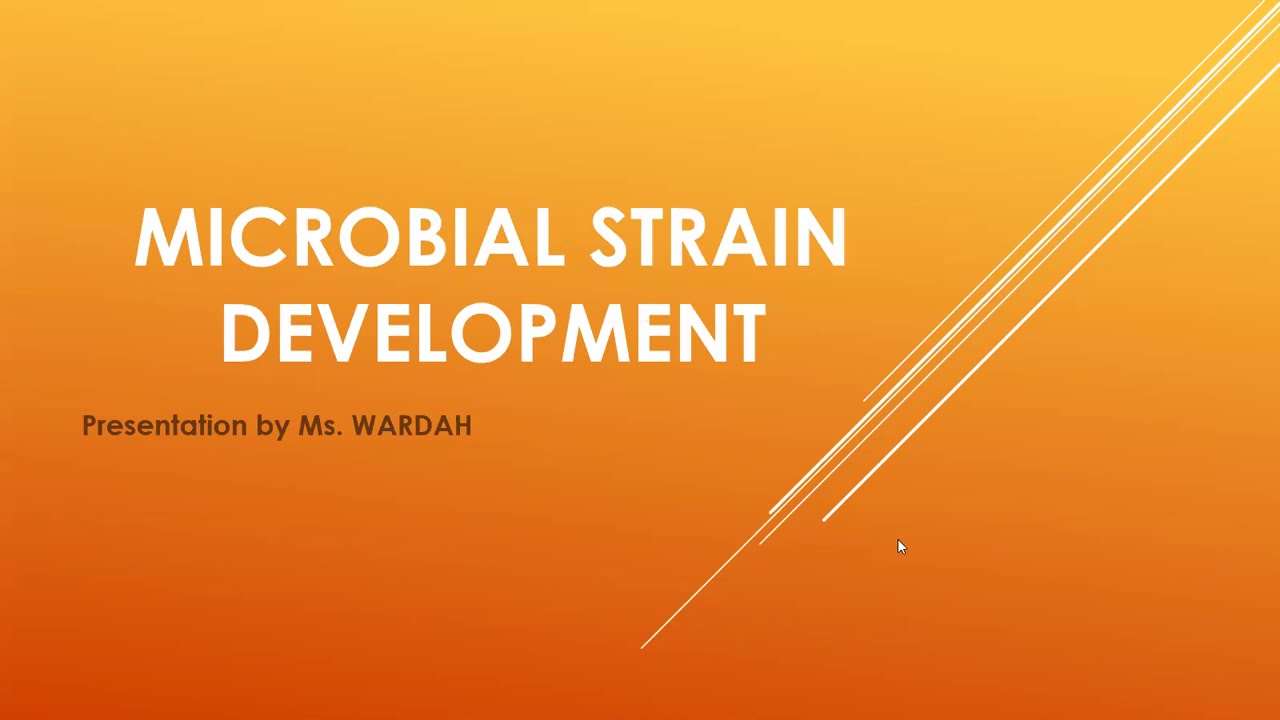 Microbial Strain Development - YouTube