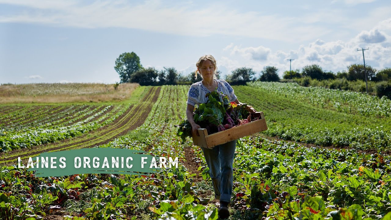 Laines Organic Farm - Biodynamic fruit and vegetable farming - YouTube