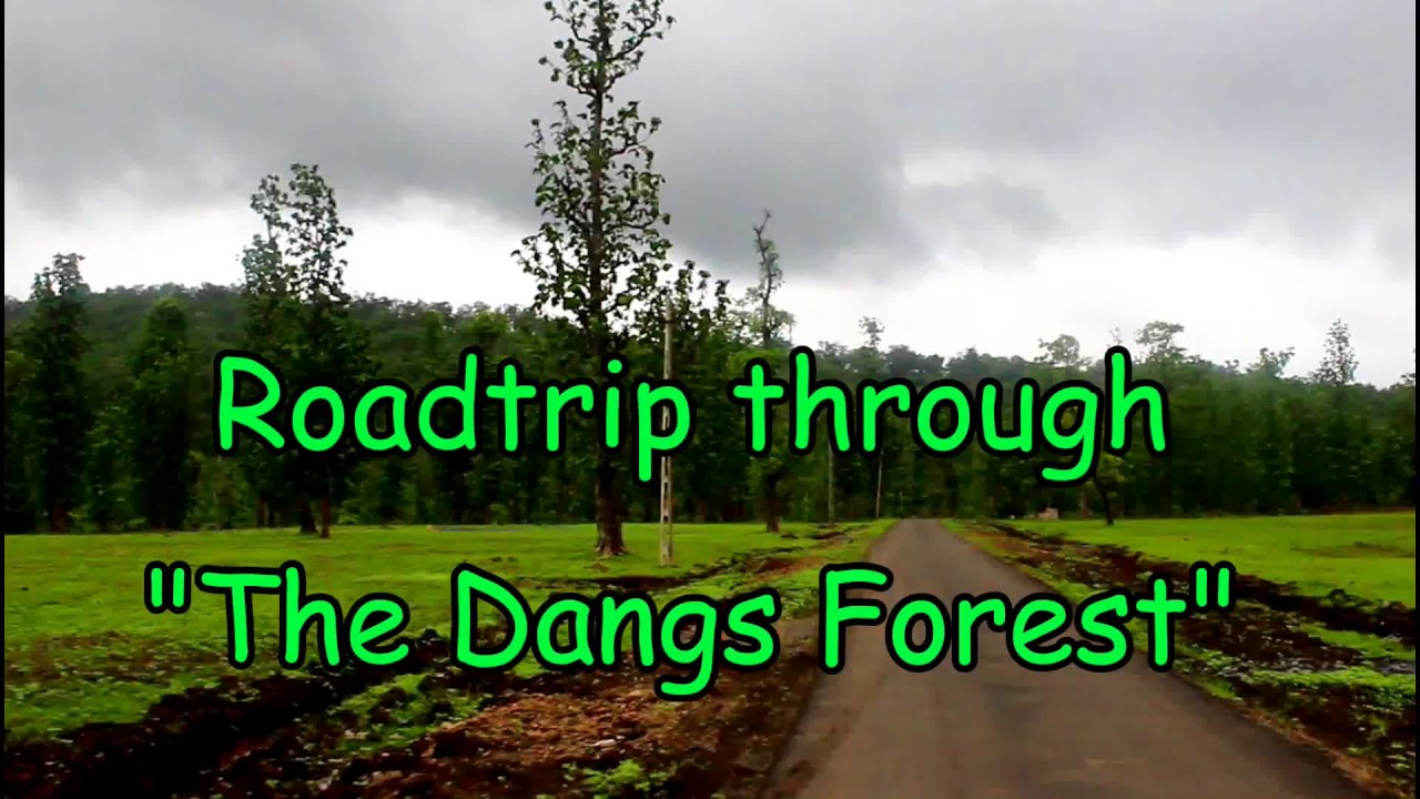 Ahwa Dang Teak Forests Roadtrip - Saputara ,Gujarat - YouTube