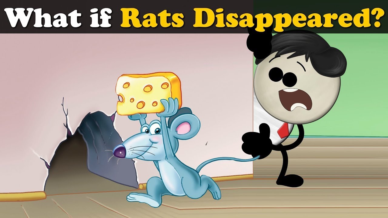 AumSum Time What if Rats Disappeared? + more videos | #aumsum #kids # ...