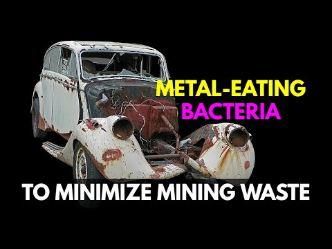 A Metal-Eating Bacteria to Minimize Mining Waste | Future Technology ...