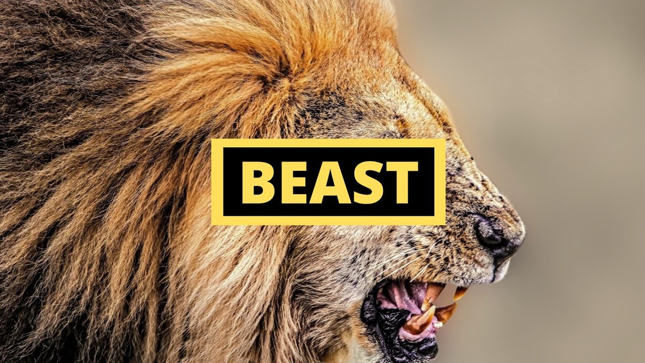 #86 - "Beast" - Trap Beat | New Rap Hip Hop Instrumental Music 2022 ...