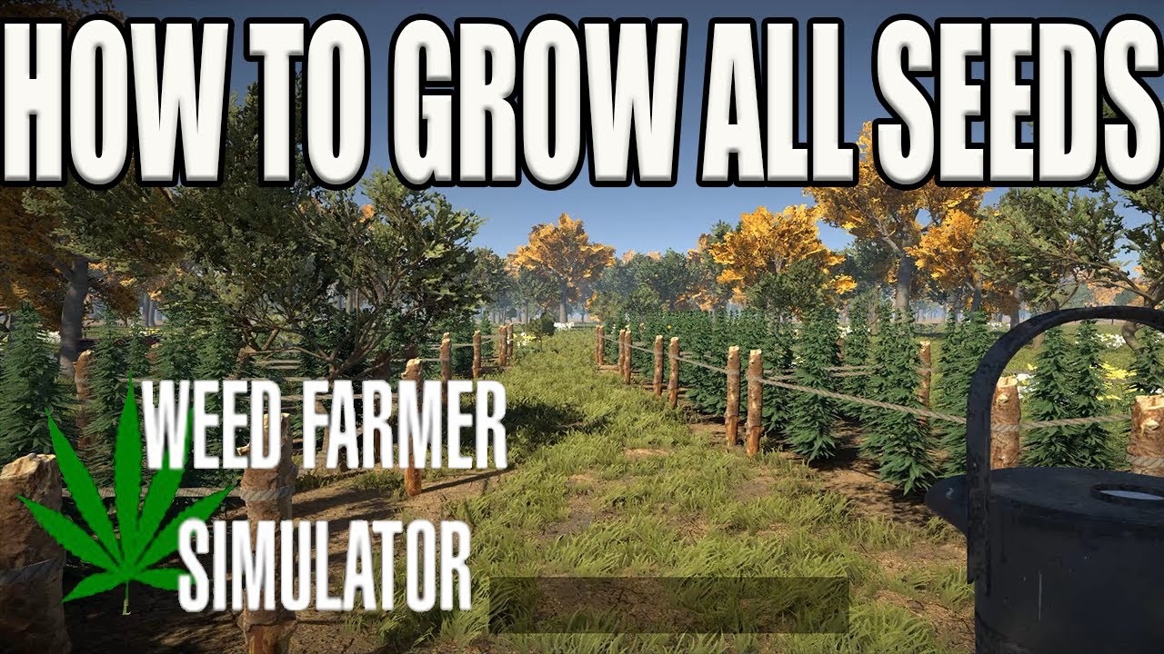 how to grow all seeds weed farmer simulator - YouTube