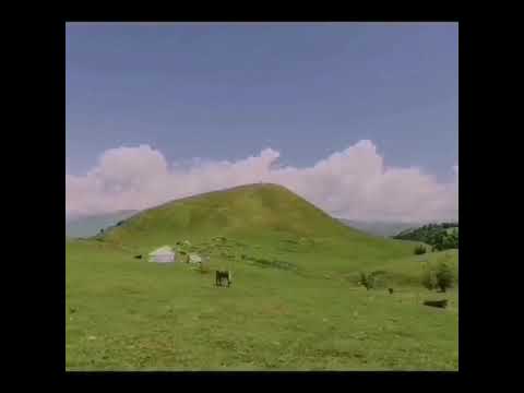 Veysel Mutlu Hor Görme