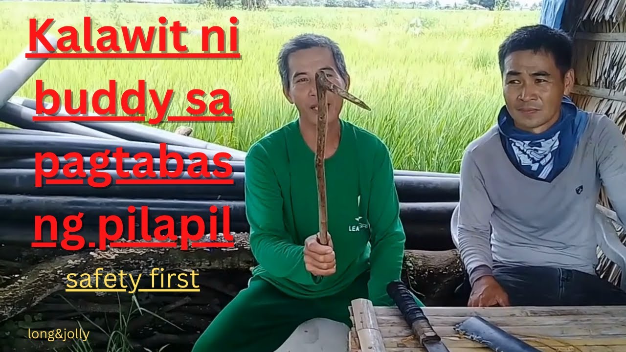 pagtabas ng pilapil - YouTube