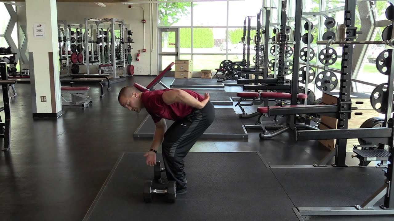 Double Arm Dumbbell Bent Over Row - YouTube