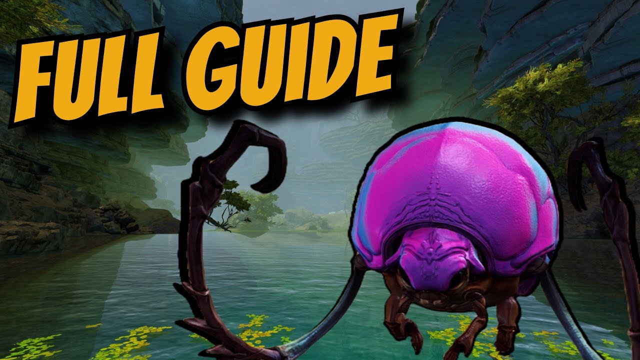 A Complete Guide to the Roller Beetle - YouTube
