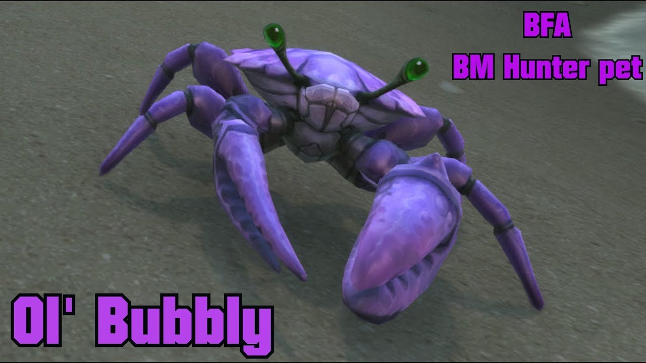 WoW Battle for Azeroth - BM Hunter - Ol' Bubbly tameable pet - YouTube