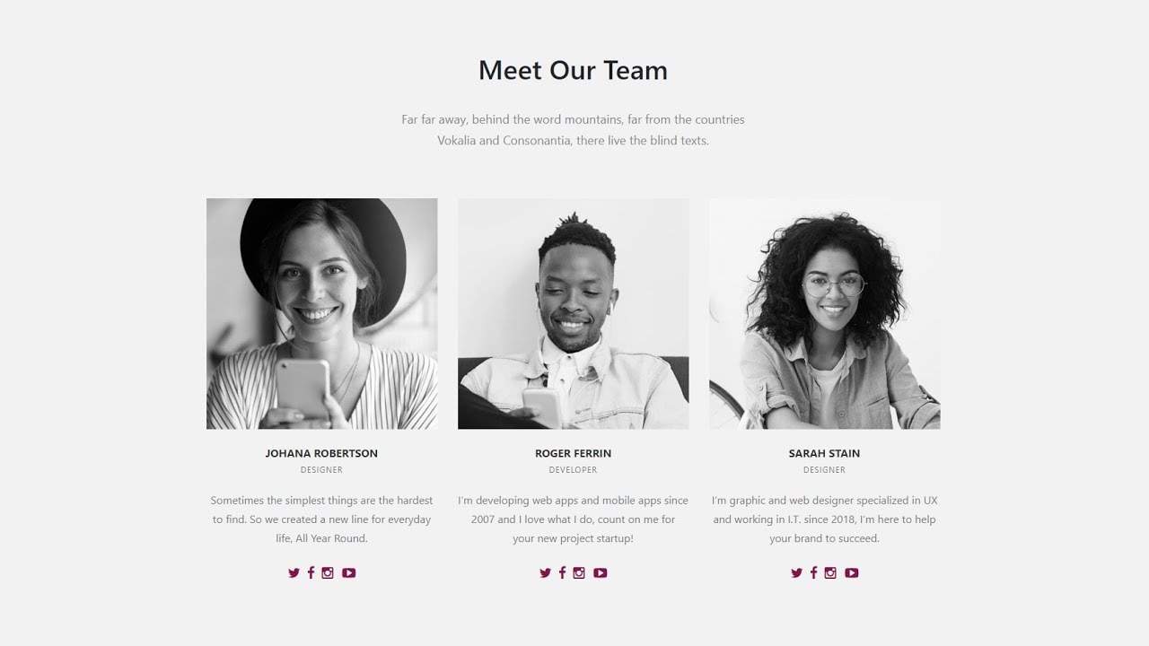 Our Team Page Design