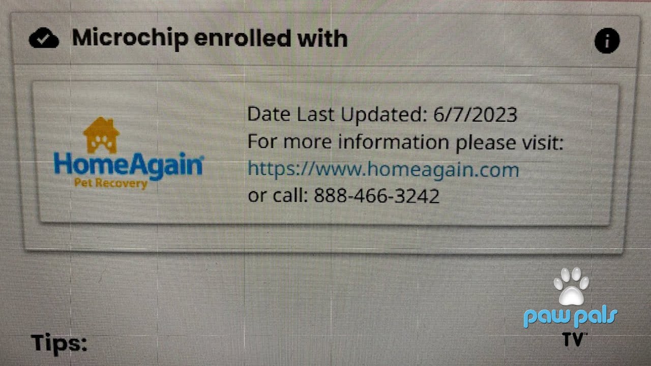 Paw Pals TV: Emba's microchip was scanned five days after she was ...