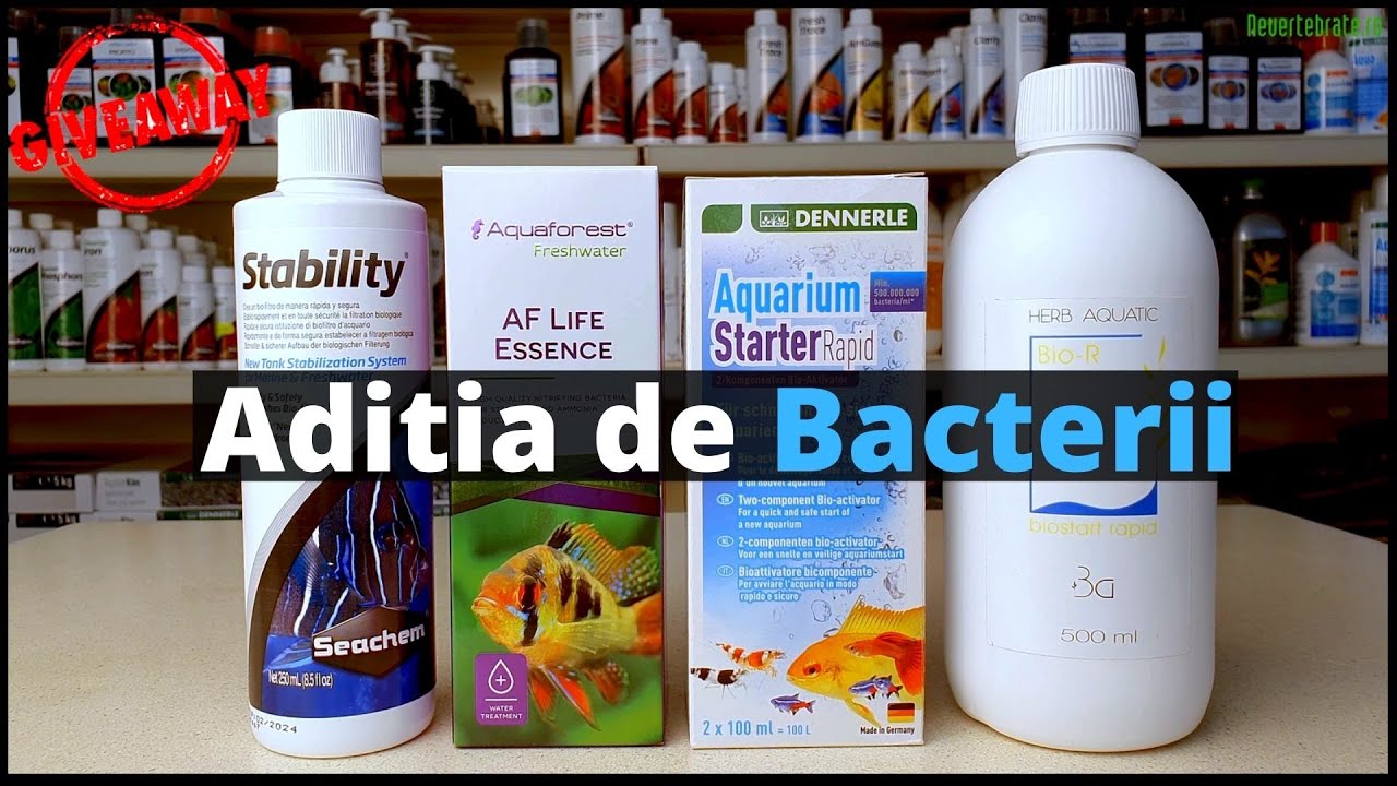 Aditia de Bacterii - YouTube