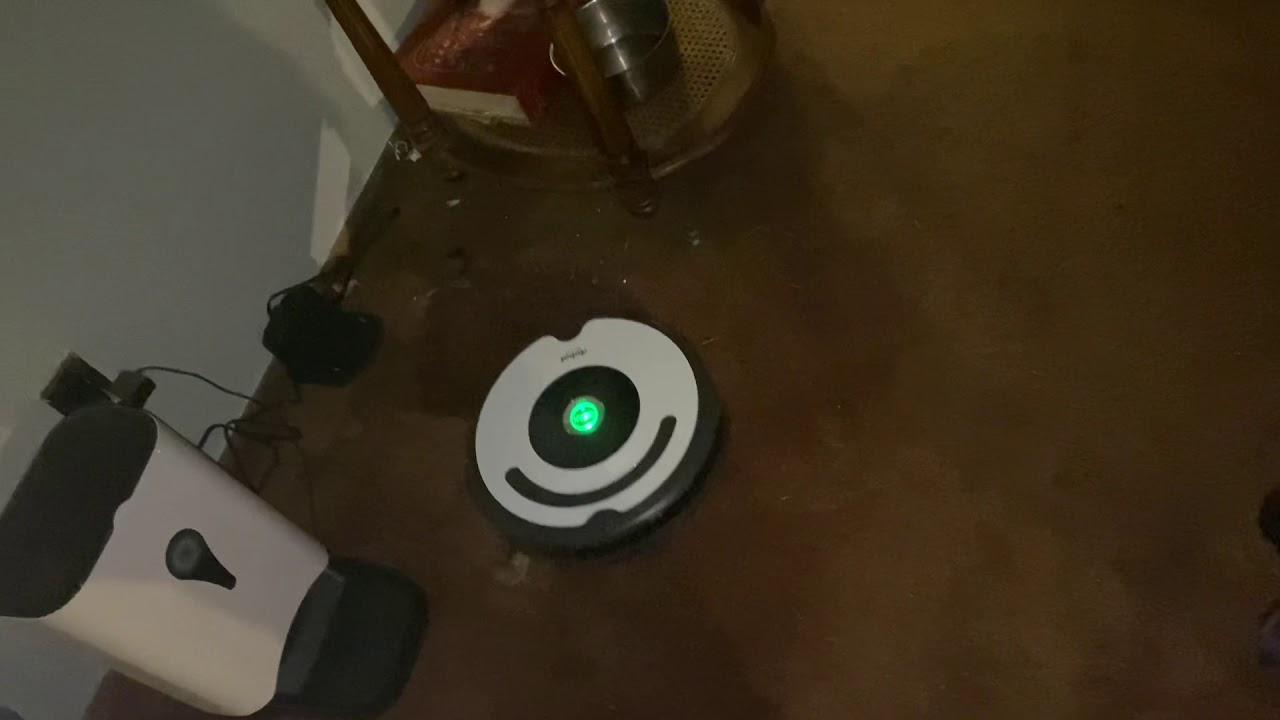 Roomba scares cat and dog - YouTube
