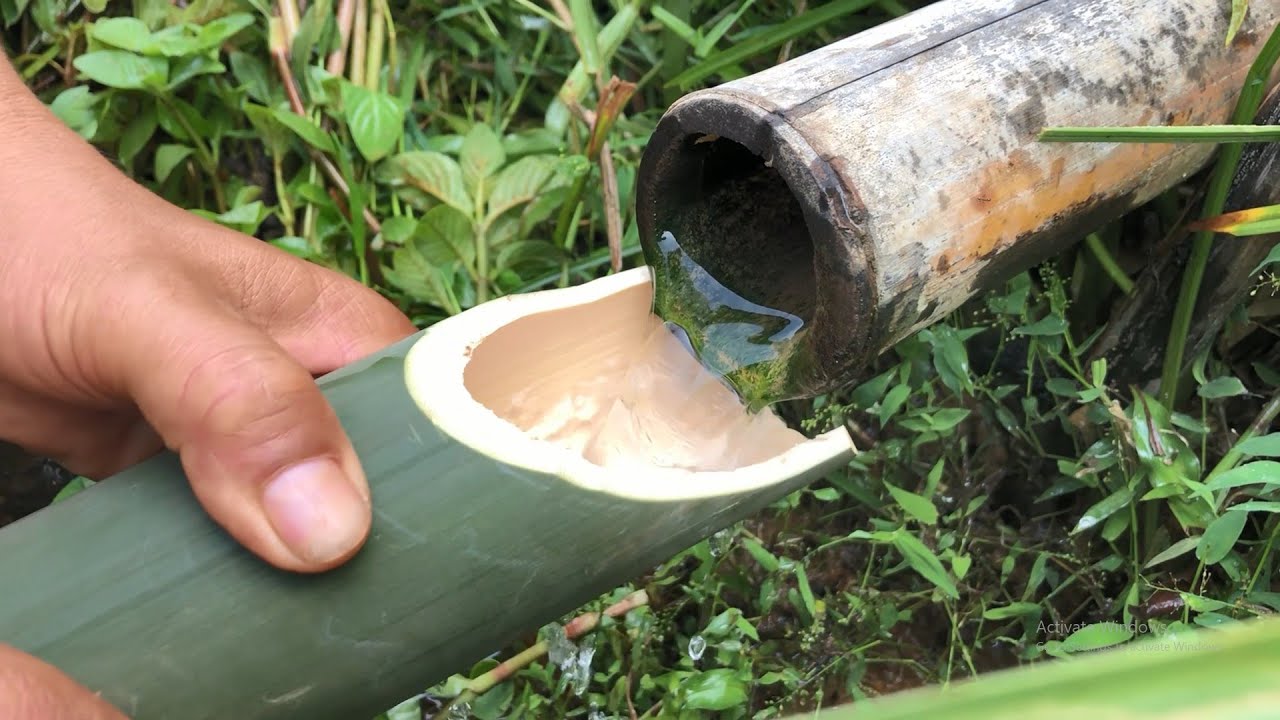 Primitive Technology: Making a container water by bamboo - YouTube