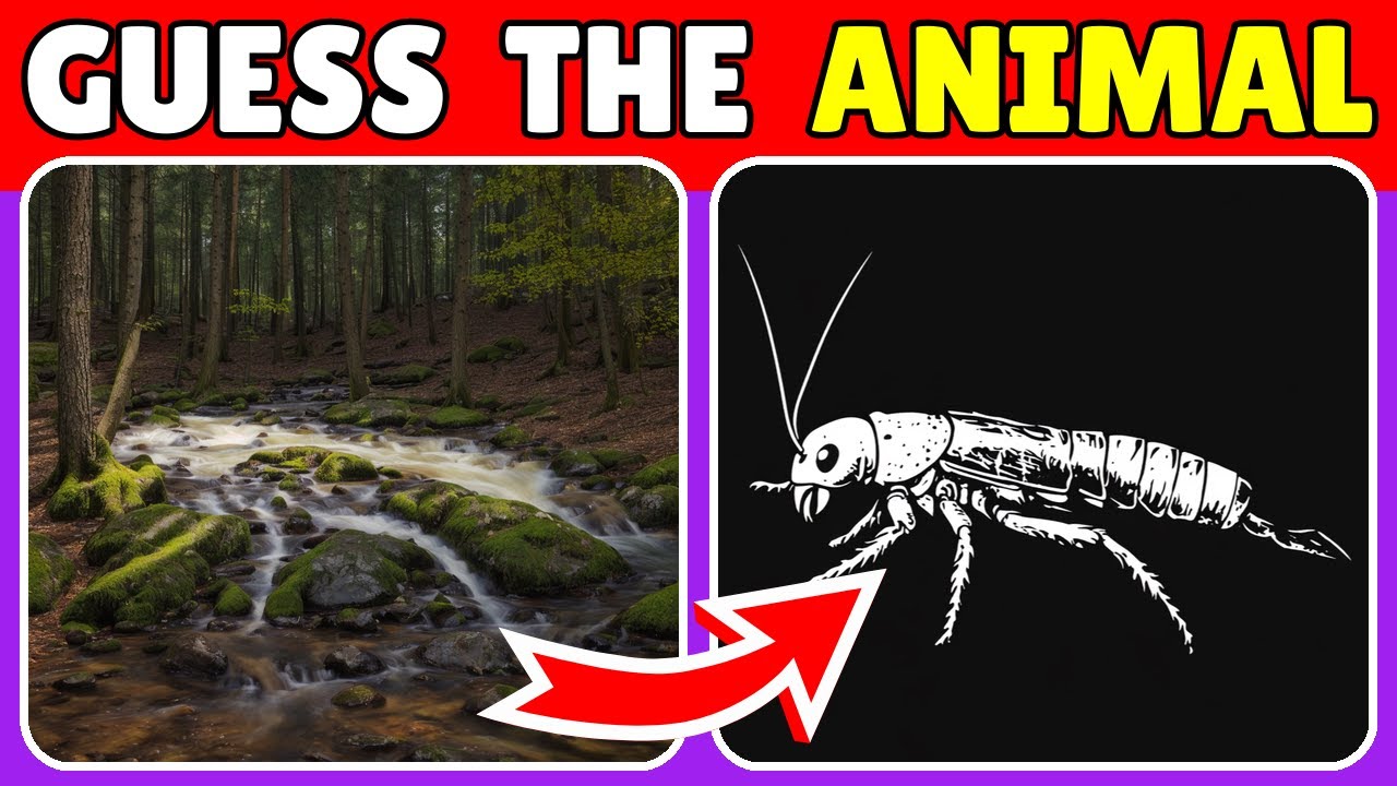 Tricky Animal Illusions! Test Your Vision Now 🦊 - YouTube