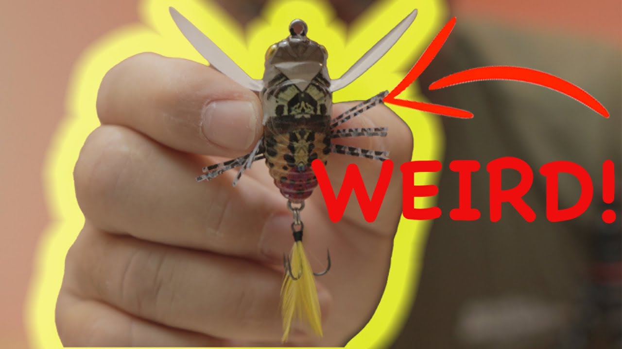 Will this WEIRD lure catch FISH? - YouTube