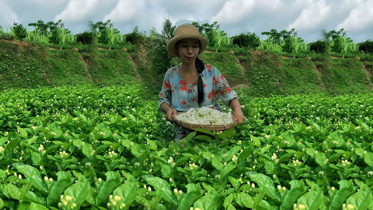 Enjoy natural life with rural life || 40 # MP Fresh - YouTube