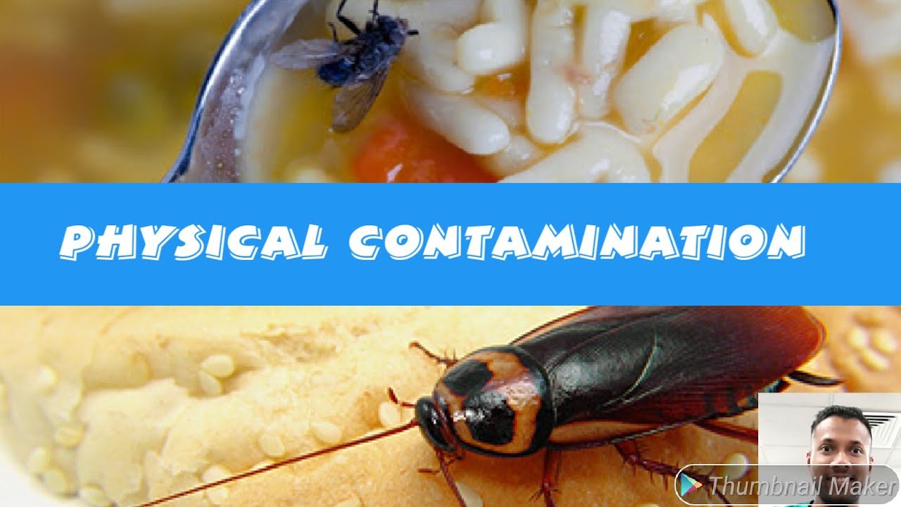 Physical contamination in food. - YouTube