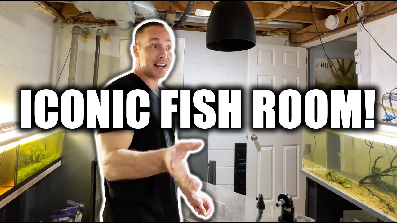 ONE OF THE MOST ICONIC FISH ROOMS IN THE AQUARIUM HOBBY! - The king of ...
