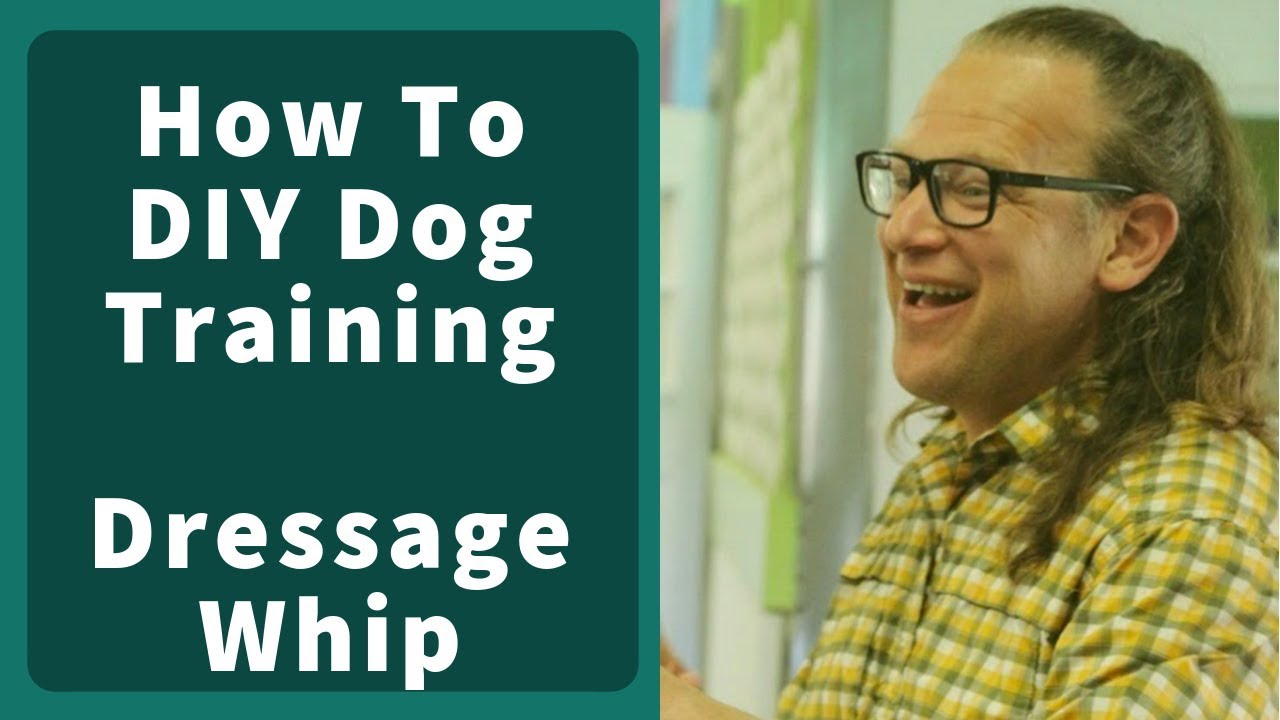 Dressage Whip | How To DIY Dog Training - YouTube